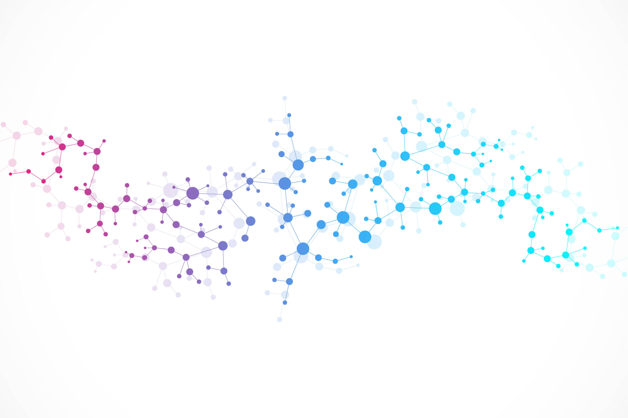 ASSC Annual Scientific Meeting 2024 – ASSC